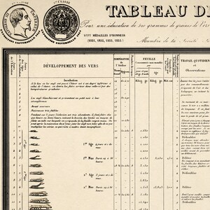 Silkworms Cultivation Vintage Chart Print, Sericulture Poster, Silk ...