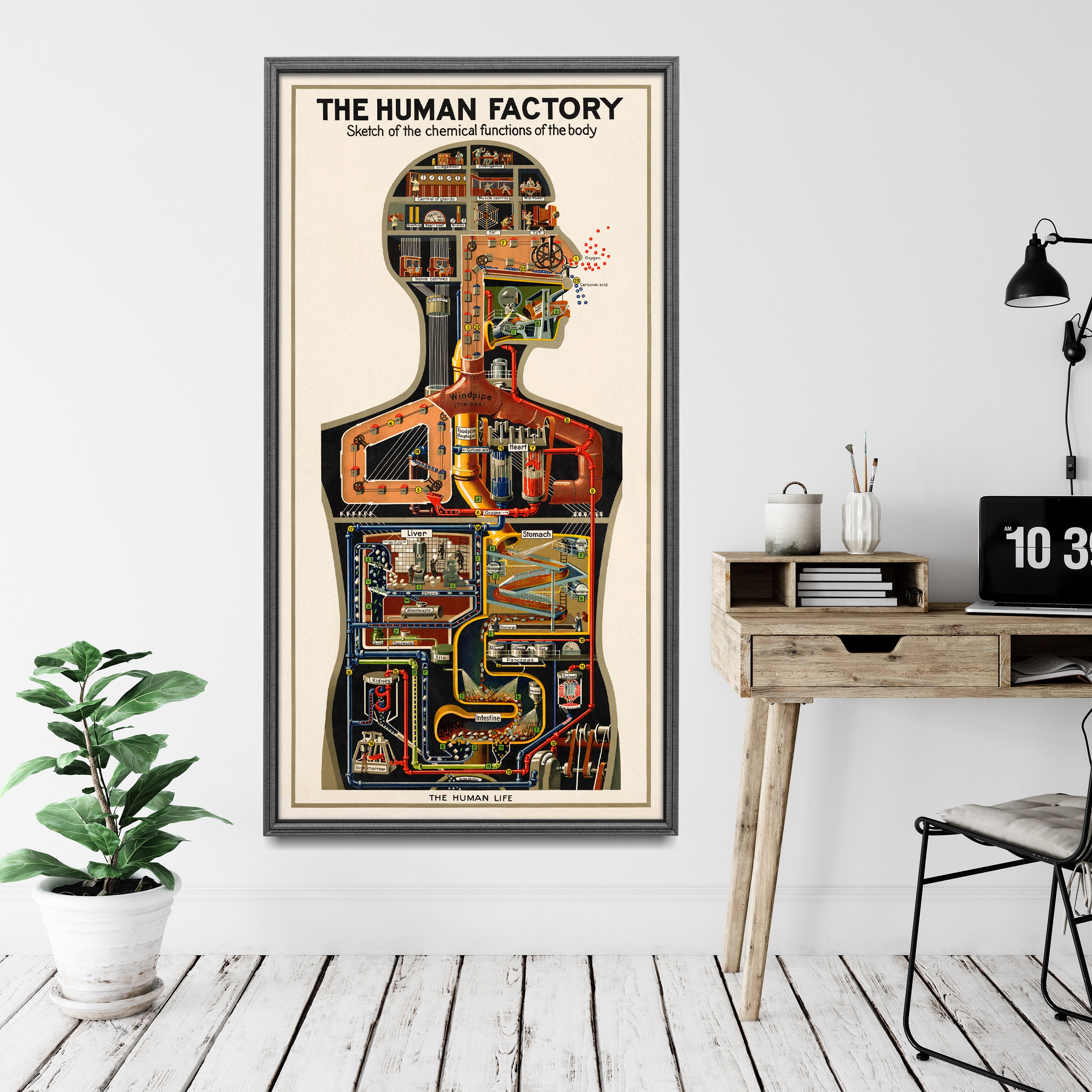 Human Body Vintage Industrial Poster Human Factory Print Mid - Etsy UK