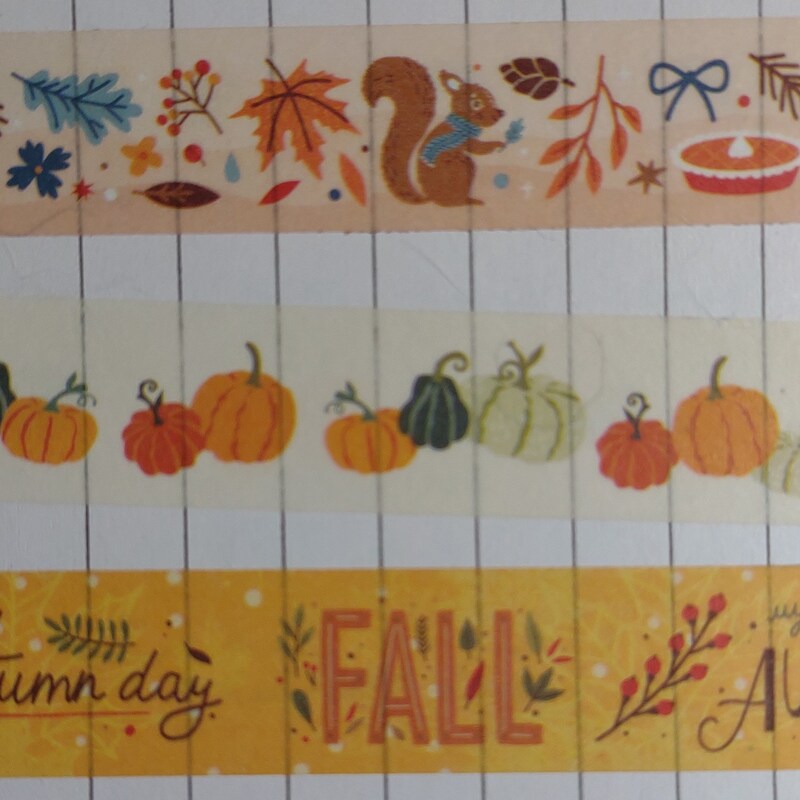 Squirrel Washi Tape - Etsy