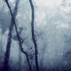 Fog Trees, Foggy Forest, Blue Gray Minimalist Forest Art, Nature Art ...