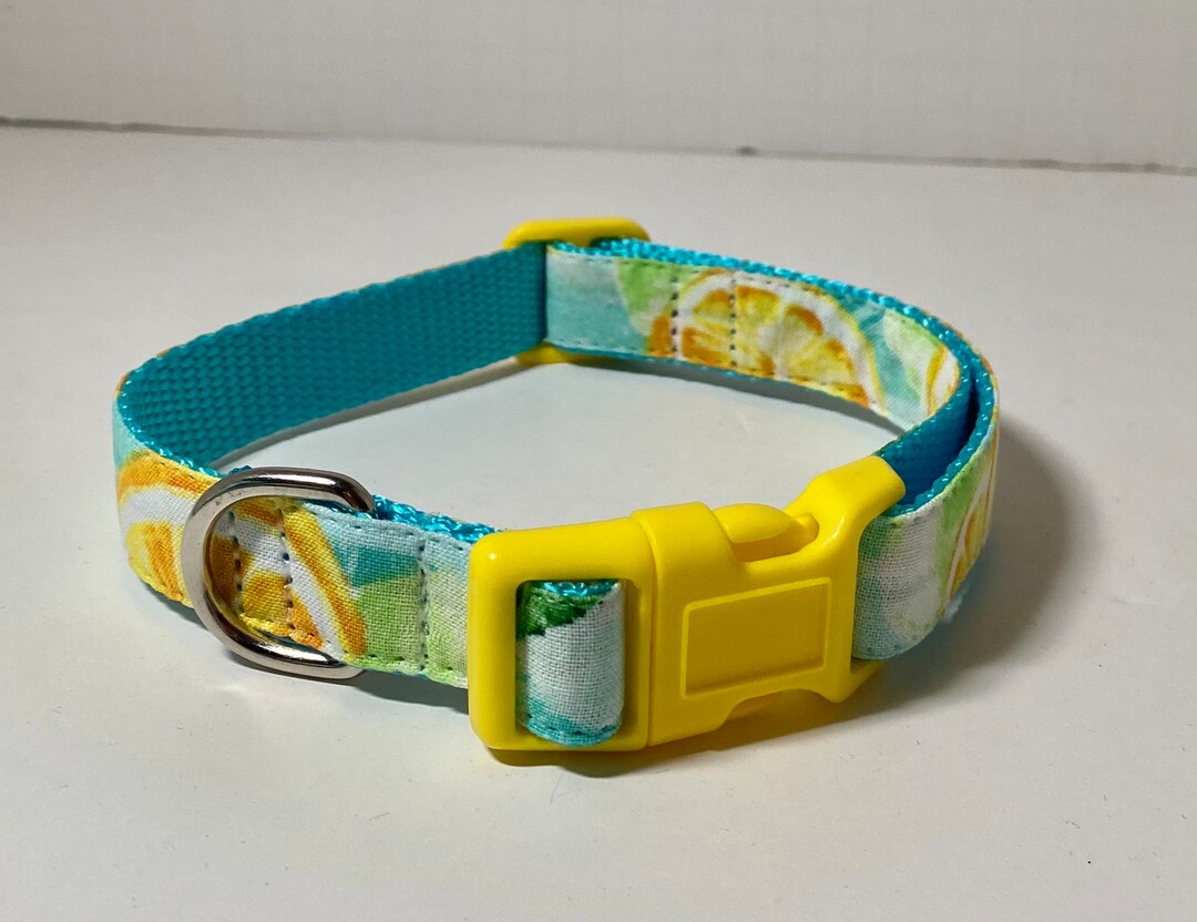 Matching Collar: Nylon Webbing With Cotton Ribbon - Etsy