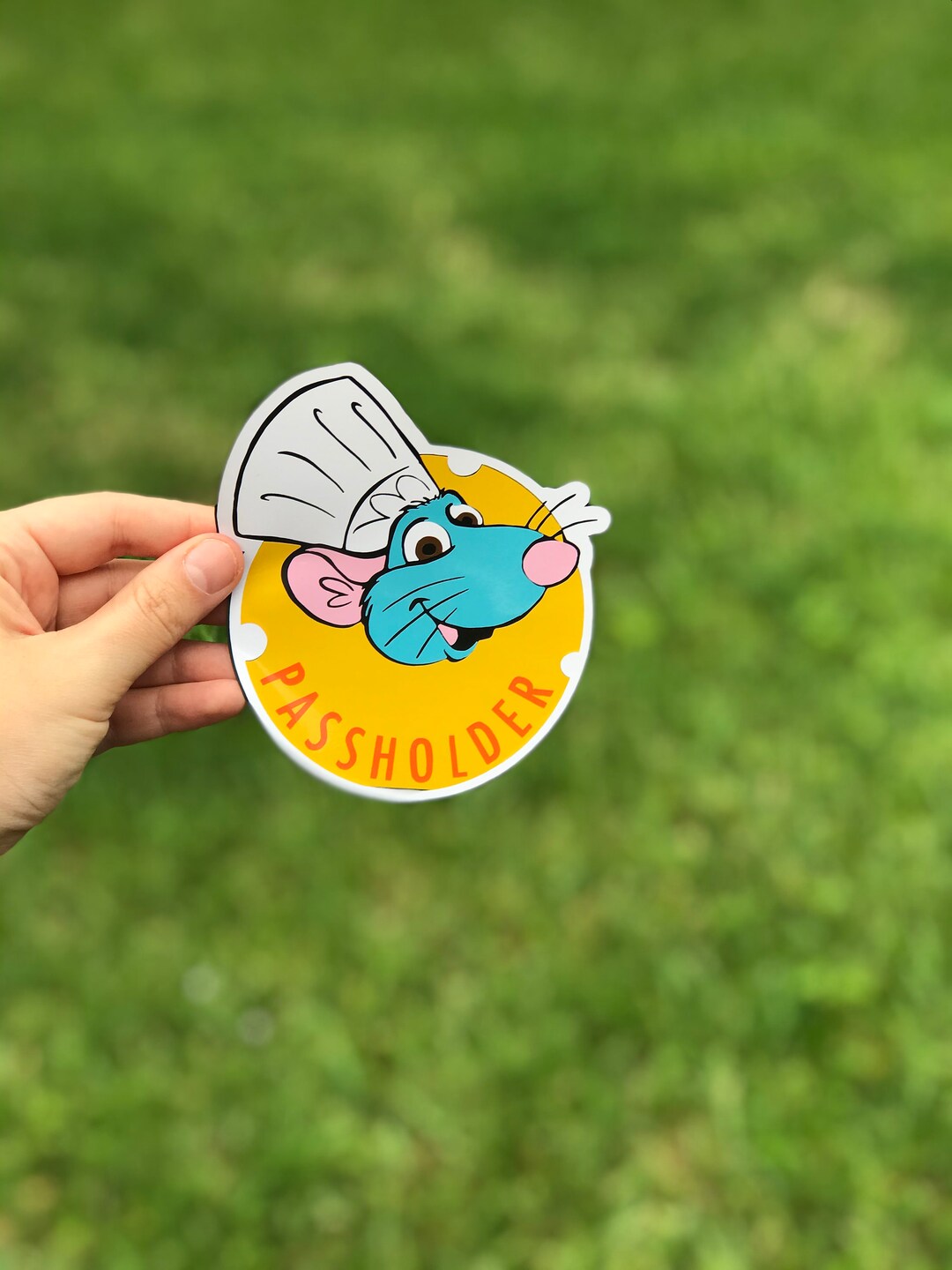 Passholder Vinyl Decal - Etsy