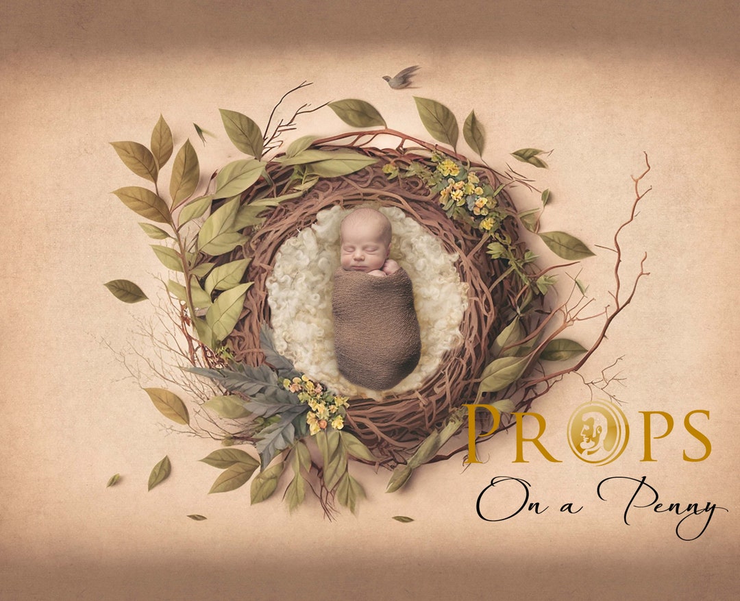 Nest Digital Backdrop (digital Props) - Newborn Photography Props ...