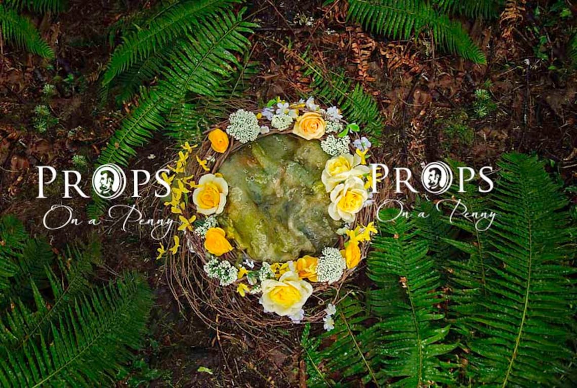 Newborn Nest Prop _ Digital Newborn Backdrop Newborn | Etsy