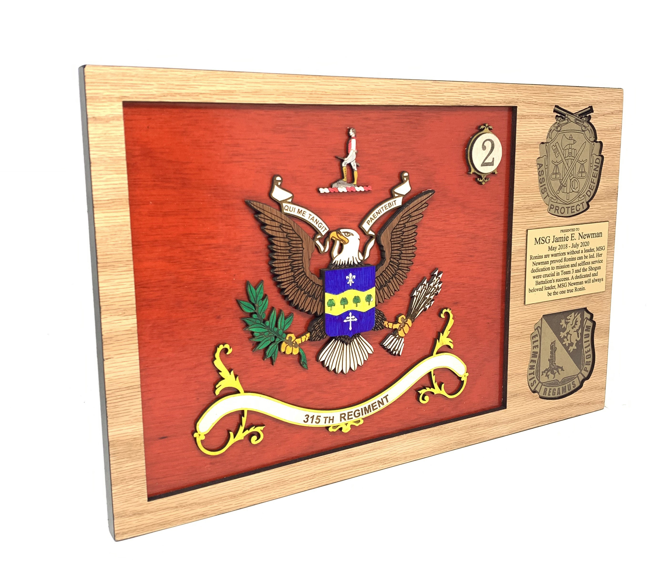 Battalion Colors Replica Plaque - Etsy