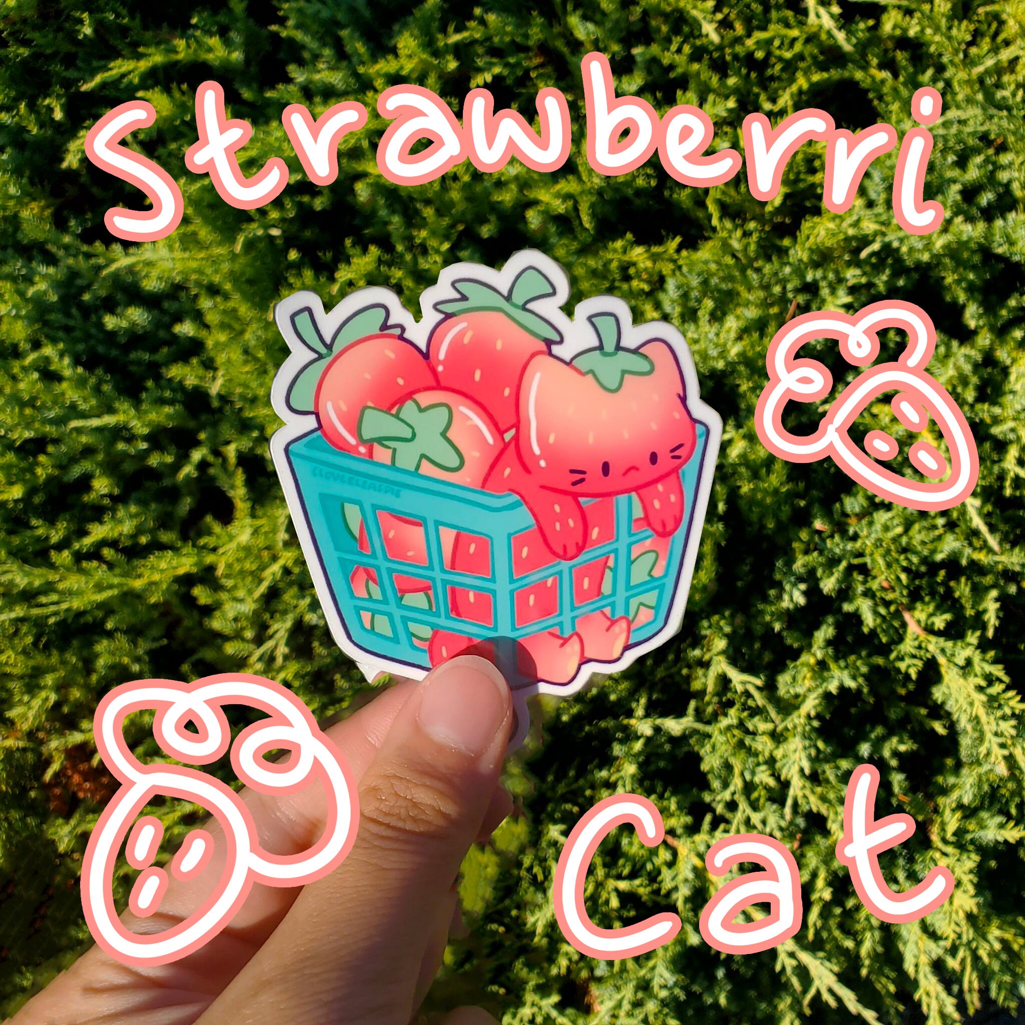 Strawberry Cat Vinyl Sticker - Etsy