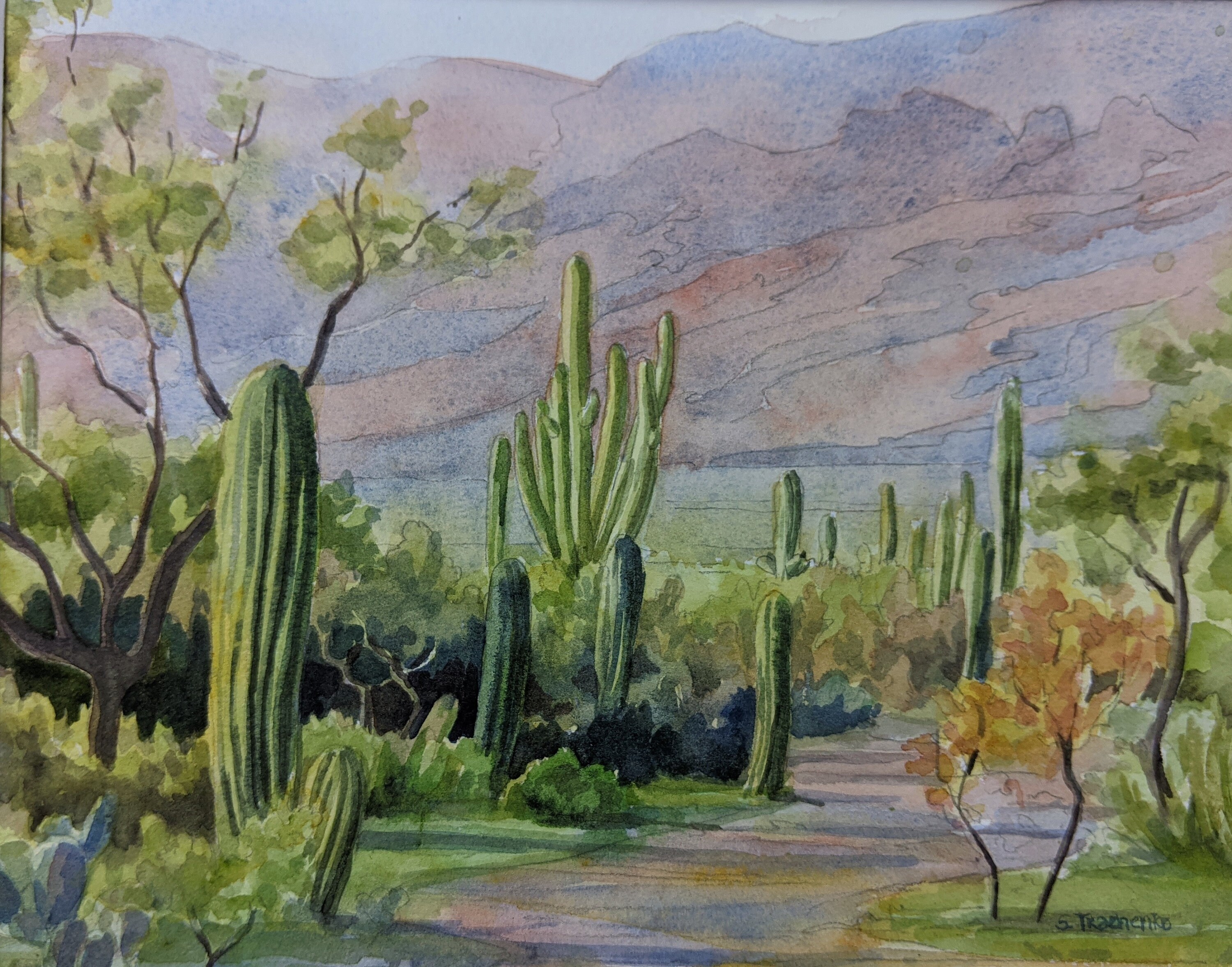 Cactus Painting Arizona Desert Watercolor Art Original Mountains ...