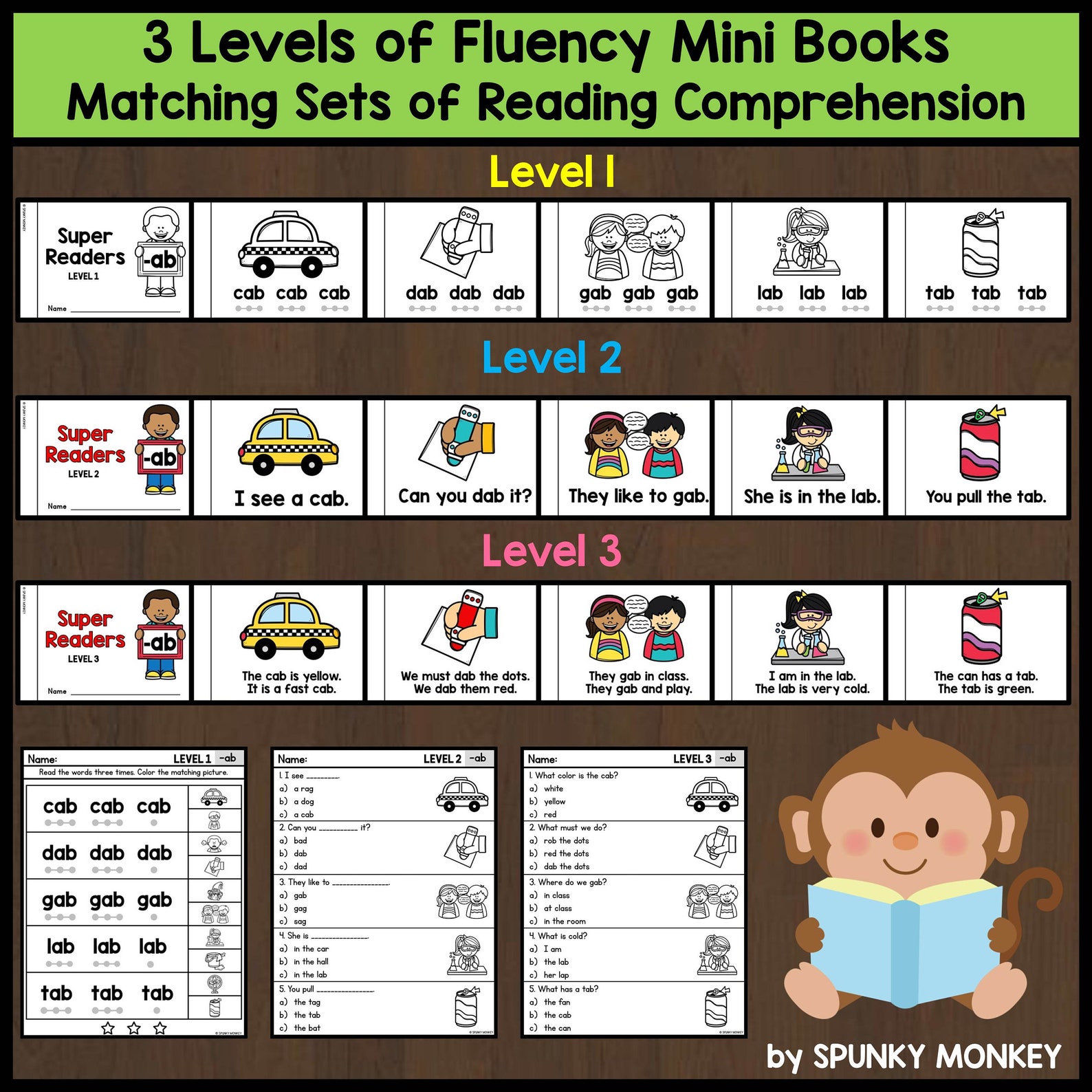 CVC Fluency Reading Comprehension Mini Books & Questions | Etsy