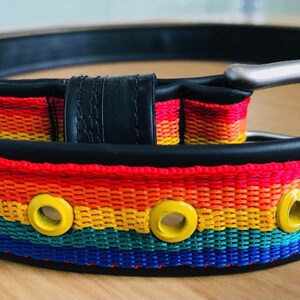 Pride Belt Rainbow Belt Inner Tube Belt Colourful Belt - Etsy