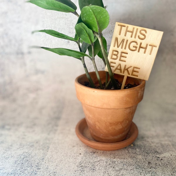 Fake Plants - Etsy