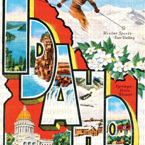 Idaho Postcards - Etsy