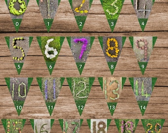 Nature Number Cards 0-10 Printable EYFS Resource Montesssori Reggio ...