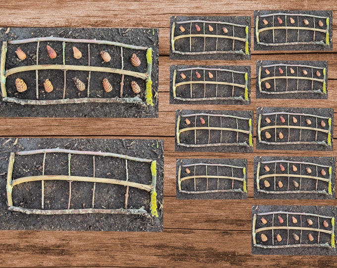 Tens Frame Nature Number Cards Printable 0-10 Subitising Numeral ...