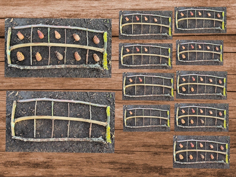 Tens Frame Nature Number Cards Printable 0-10 Subitising - Etsy