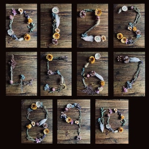 Flower Nature Themed Number Cards 0-10 Printable EYFS Resource - Etsy