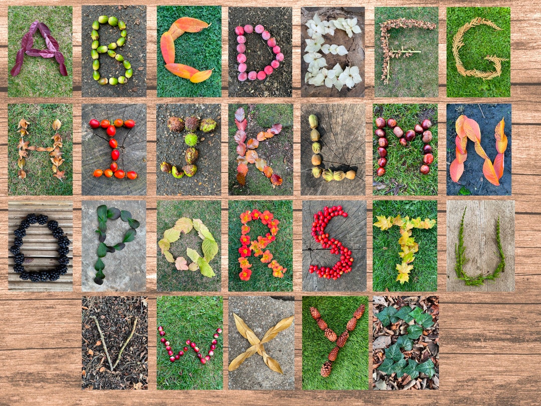 Autumn Fall Nature Alphabet Cards Printable Digital Download Natural ...