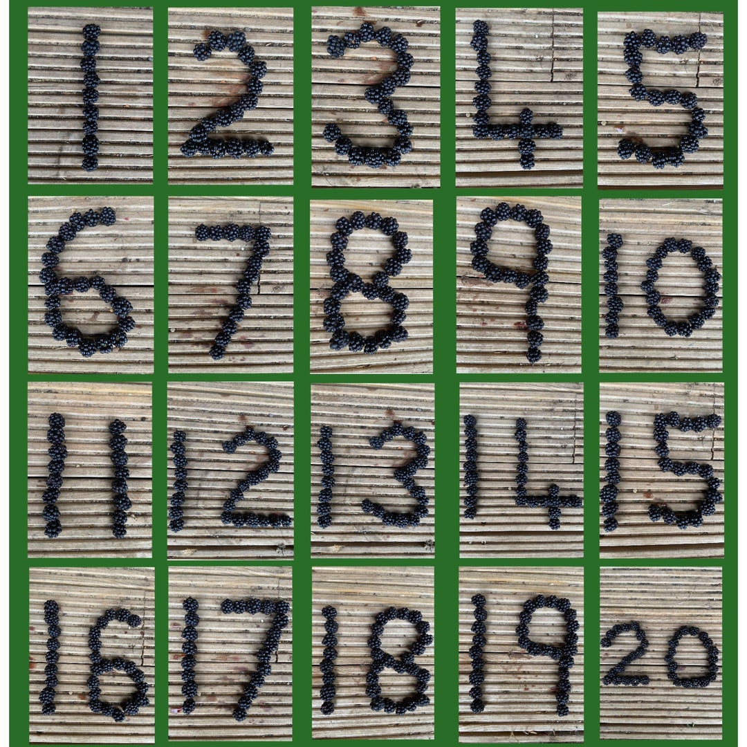 Nature Number Cards Blackberries 1-20 Printable EYFS Resource ...