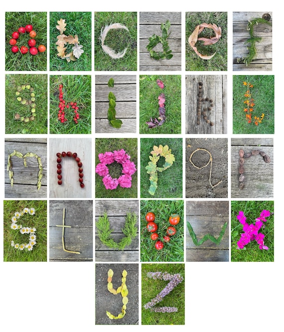 Lowercase Nature alphabet cards printable digital download | Etsy