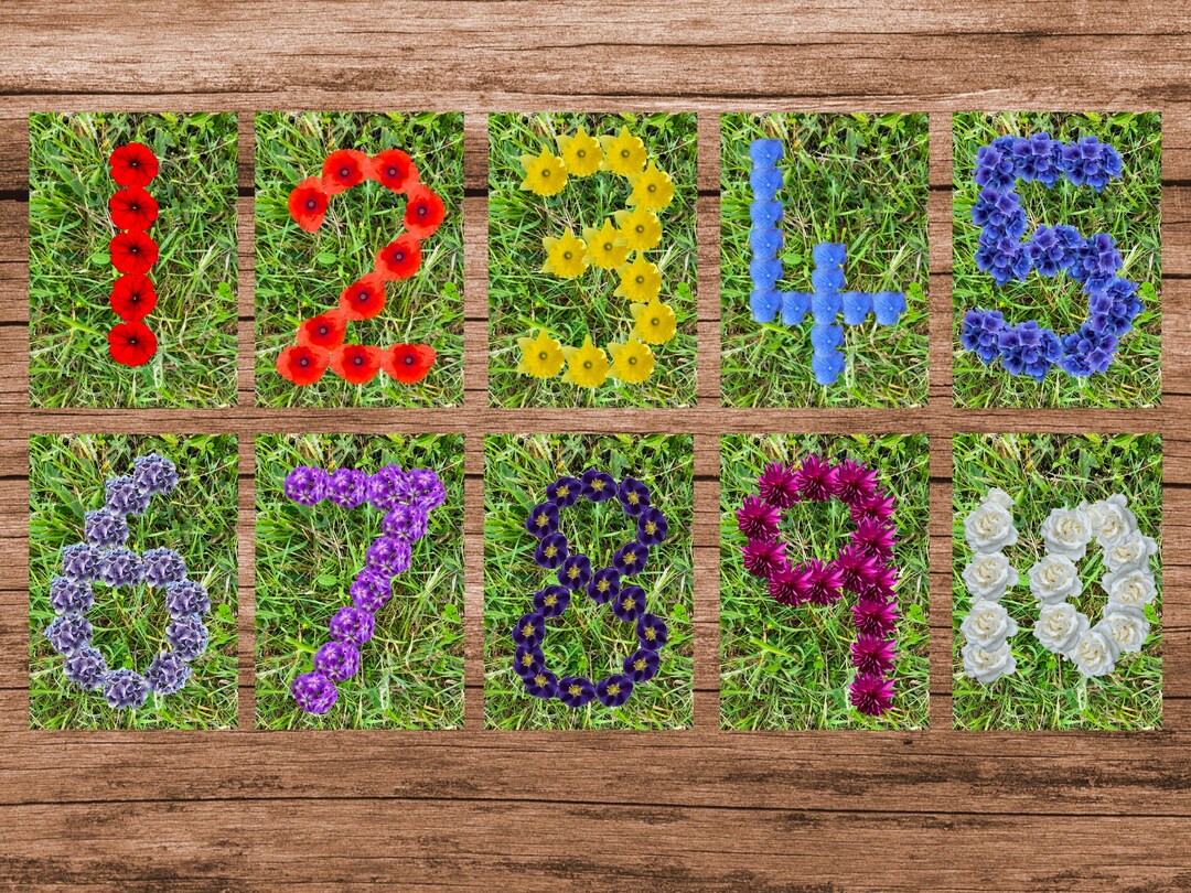 Flower Number Cards 1-10 Printable EYFS Resource Montessori Reggio ...