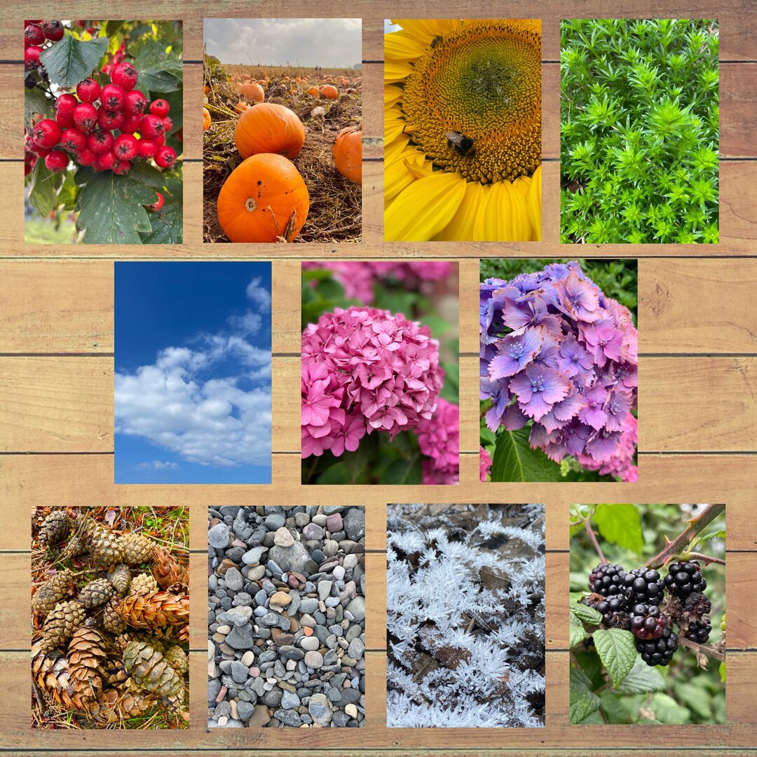 Nature Rainbow Poster Photo Cards Printable Digital Download Montessori ...