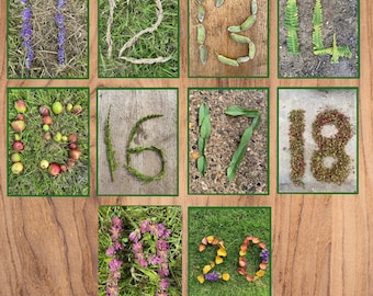 Nature Number Cards 0-10 Printable EYFS Resource Montesssori Reggio ...