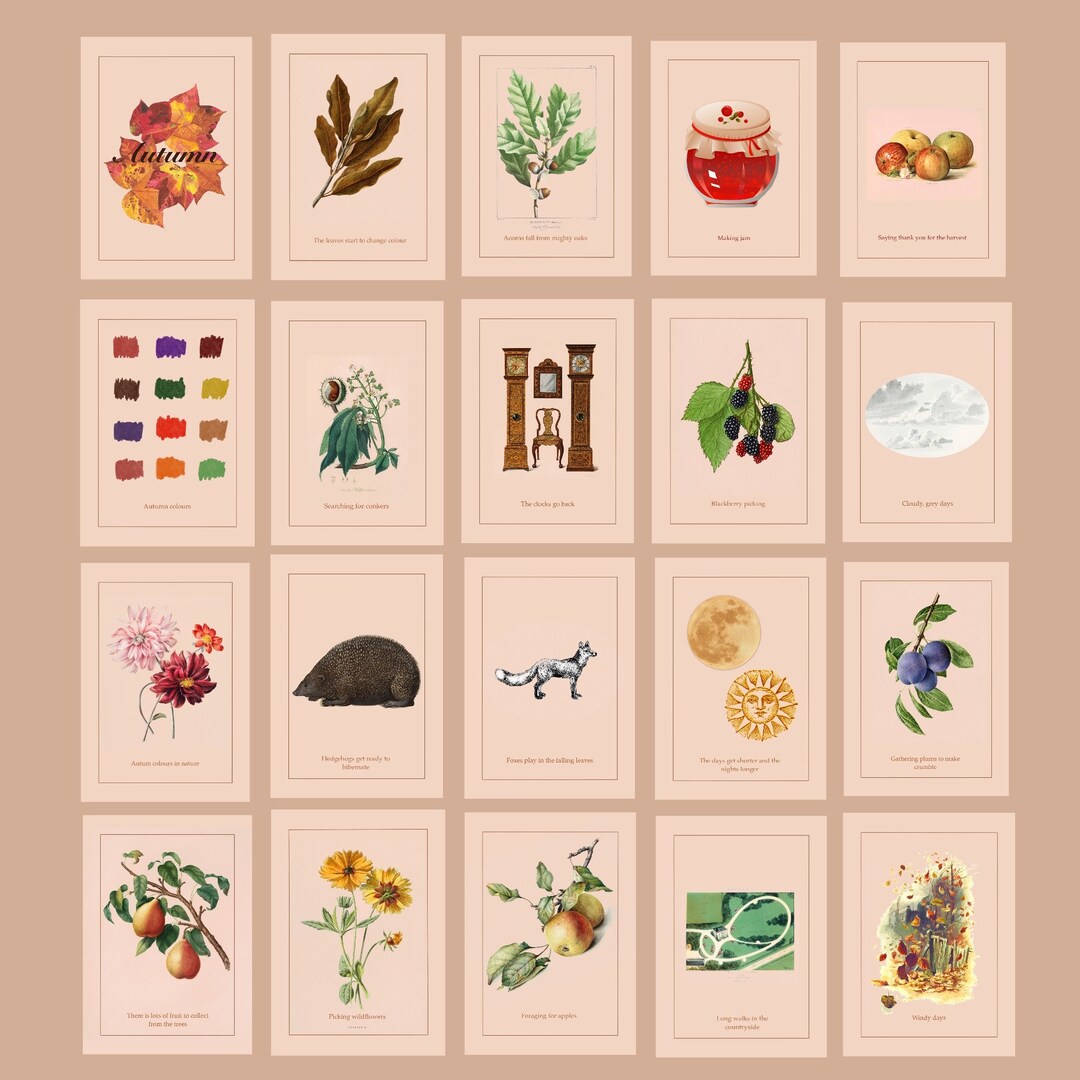 Autumn Fall Picture Cards Printable Digital Download Natural Childrens ...