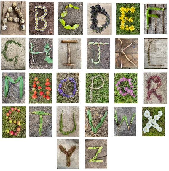 Letter A In Nature