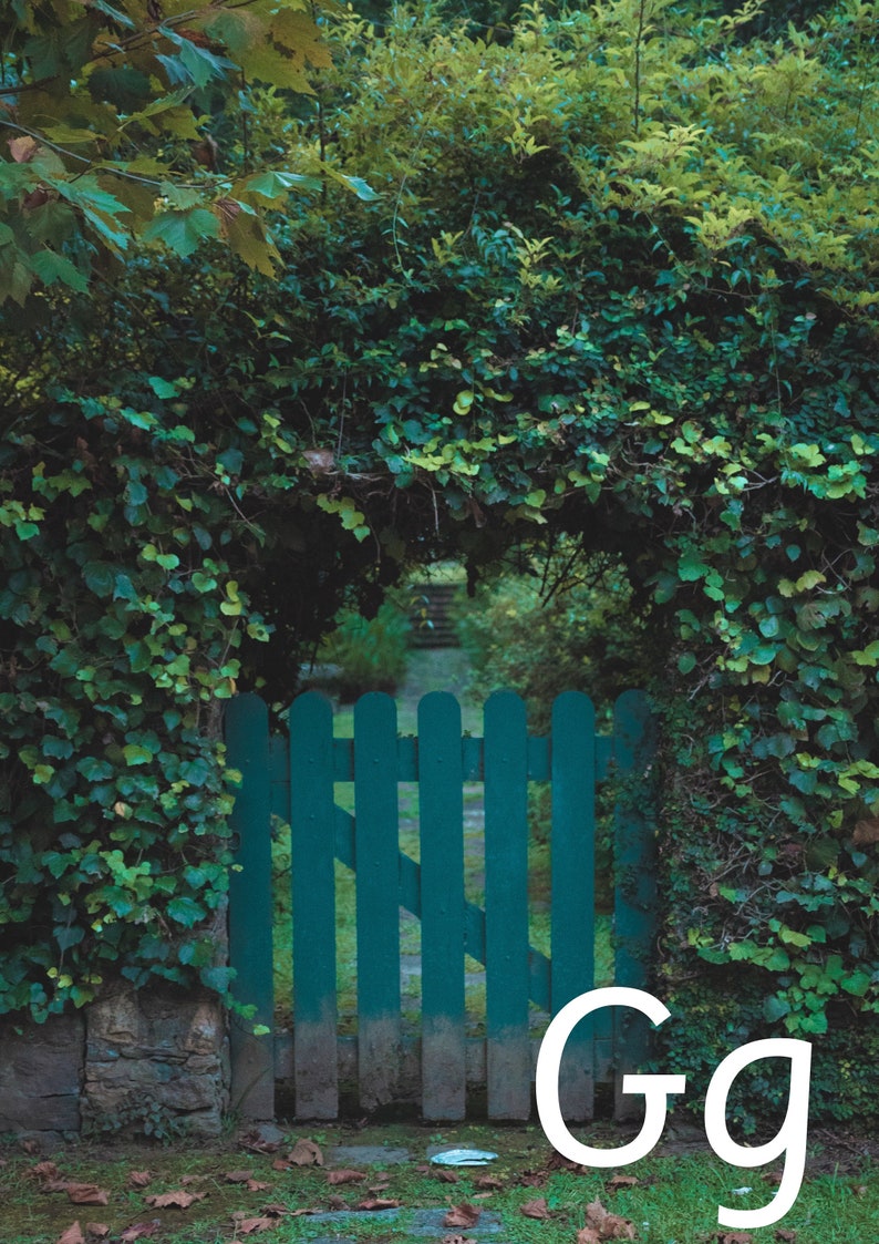 Alphabet Photo Cards Digital Download Printable Natural | Etsy