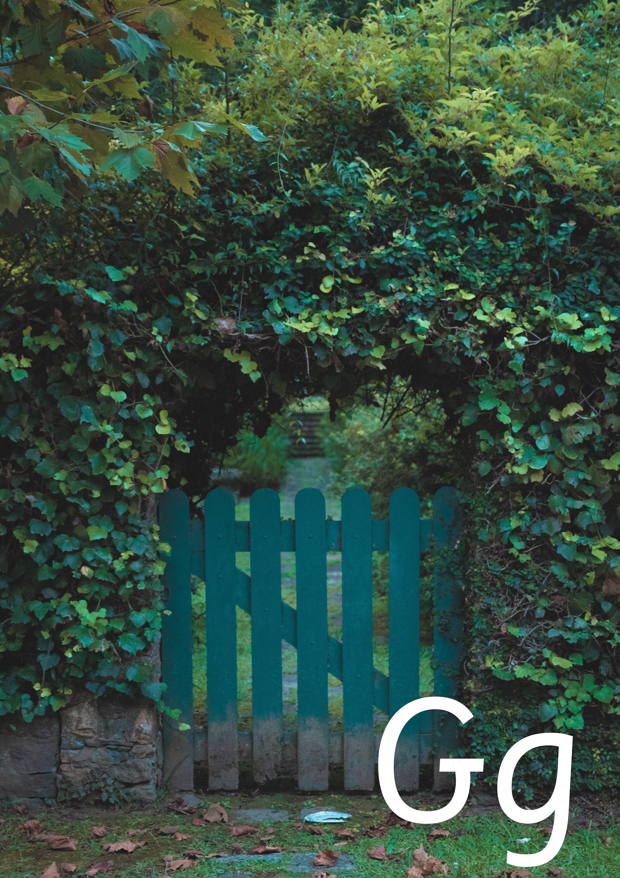 Alphabet Photo Cards Digital Download Printable Natural | Etsy