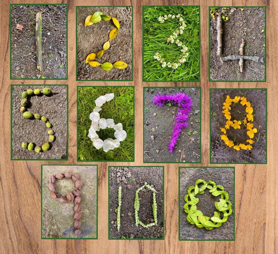 Nature Number Cards 0-10 Printable EYFS Resource Montesssori | Etsy UK