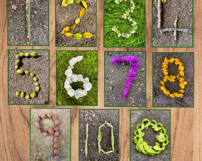 Nature Number Cards 0-10 Printable EYFS Resource Montesssori Reggio ...