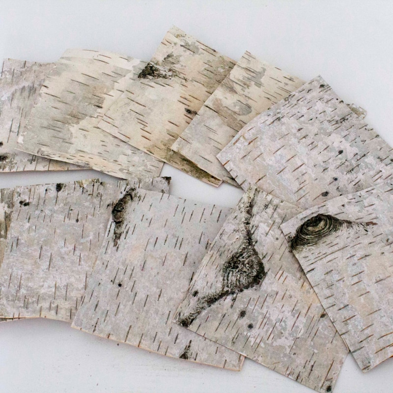 Birch Bark Sheets - Etsy