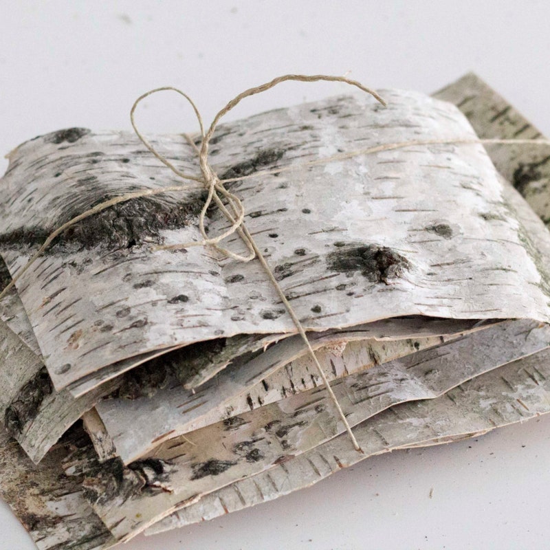 Birch Bark Strips - Etsy