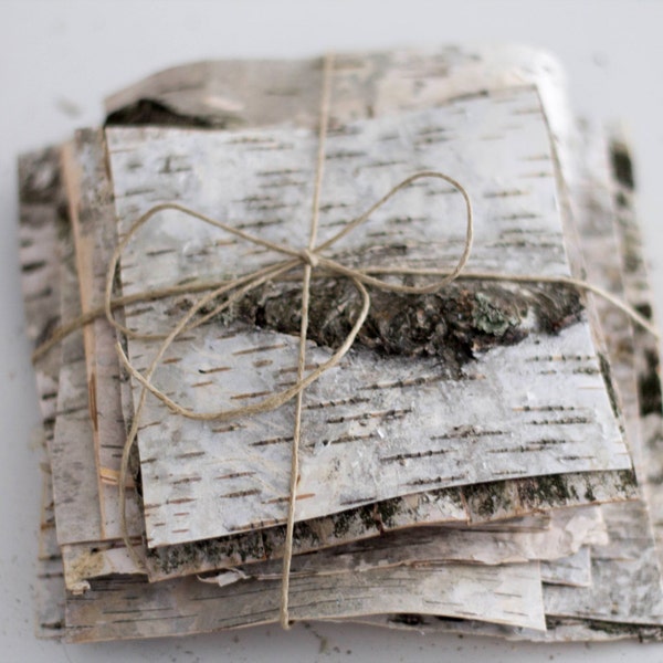 Birch Bark Strips - Etsy