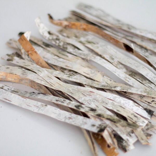 Birch Bark Strips - Etsy
