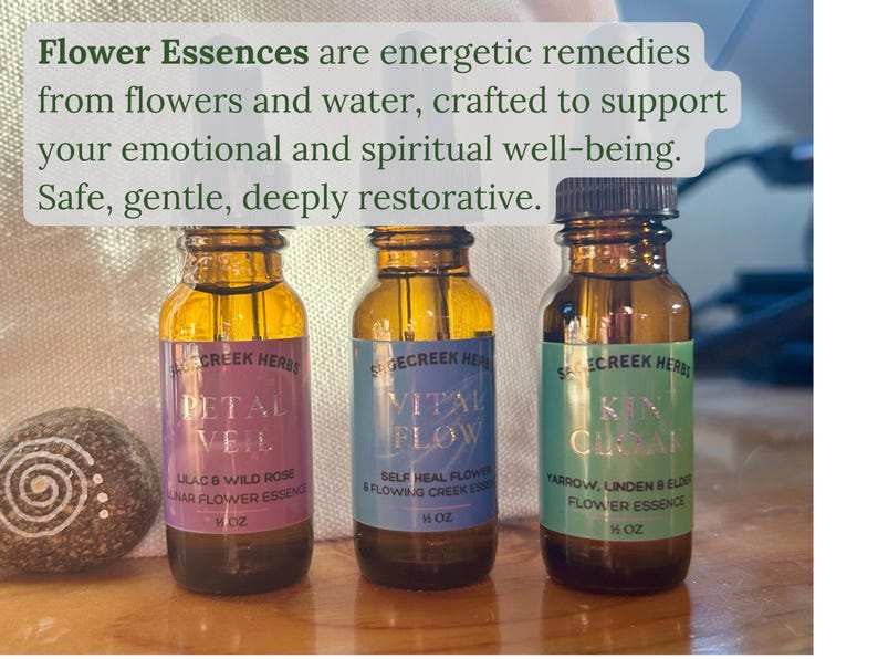 Wild Self-heal Flower Essence: Emotional Release & Vitality - 1/2 Oz - Etsy