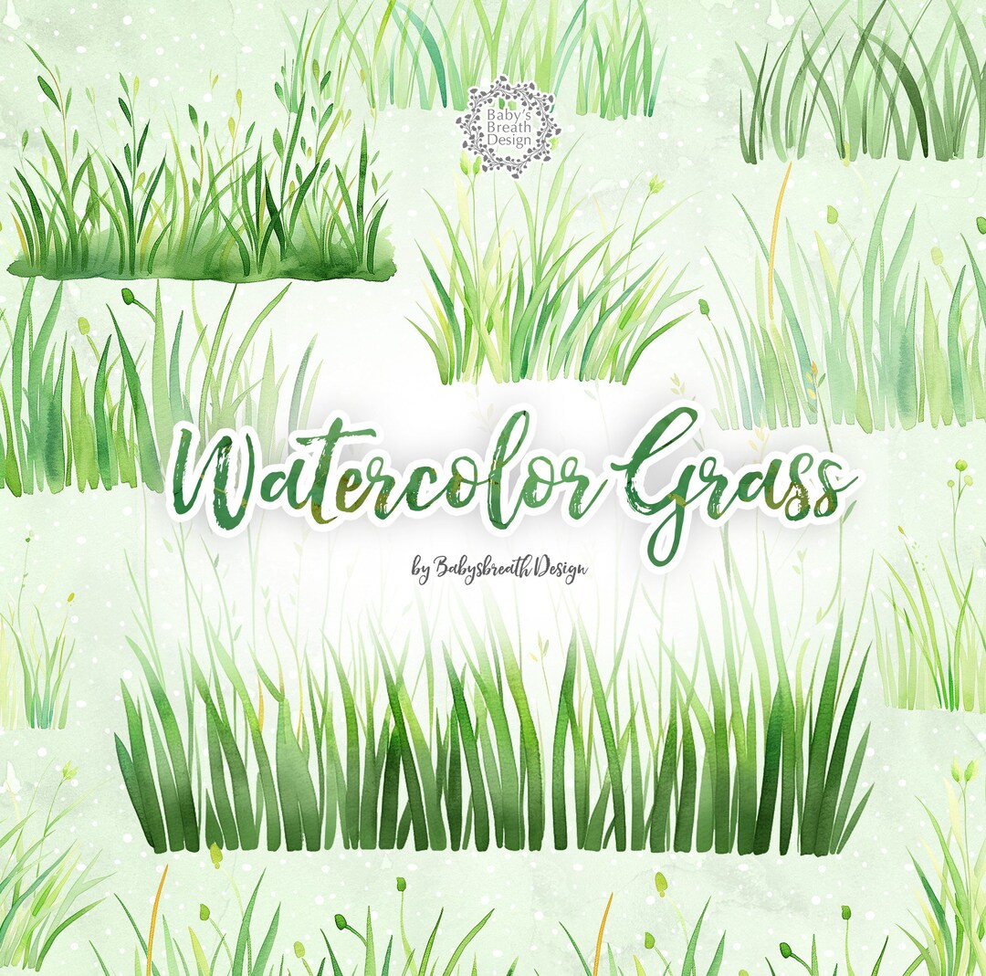 Watercolor Grass Clipart, Spring Floral PNG Format, Commercial Use ...