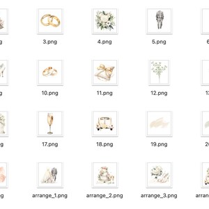 Watercolor Ivory Wedding Digital Design, Wedding Clipart, Romantic ...