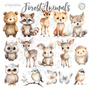 Woodland Animals Watercolor Clipart, Forest Animals Clipart Cute ...