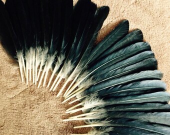 Crow feathers | Etsy