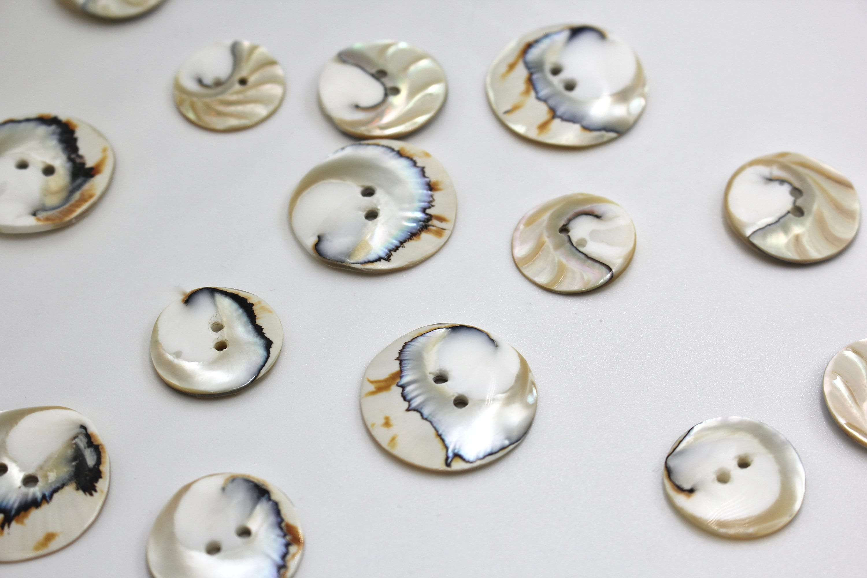 Rare Vintage Nautilus Shell Buttons - Natural Classic Two Hole Buttons ...
