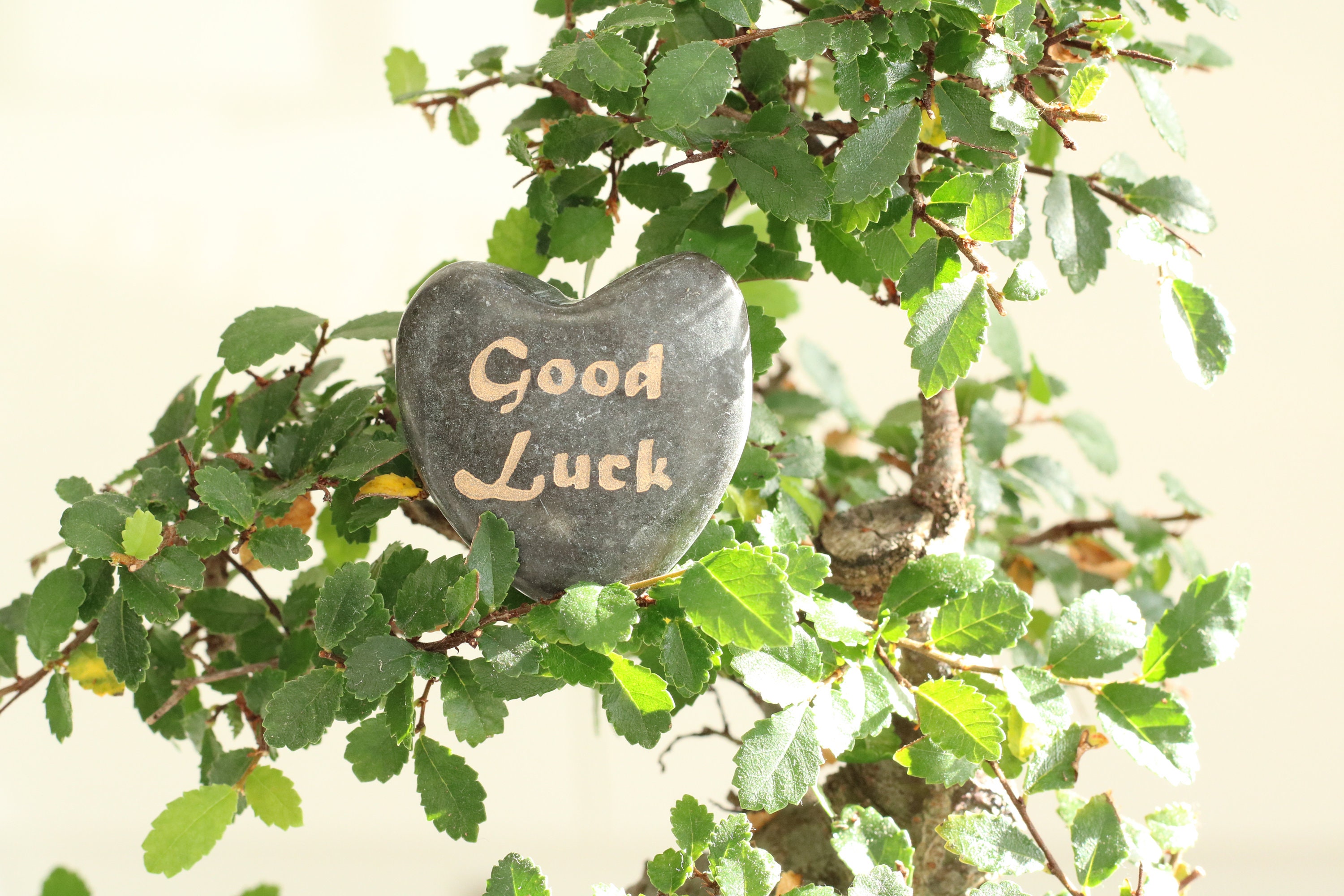 Engraved Stone Heart Good Luck Wedding Gift Anniversary | Etsy