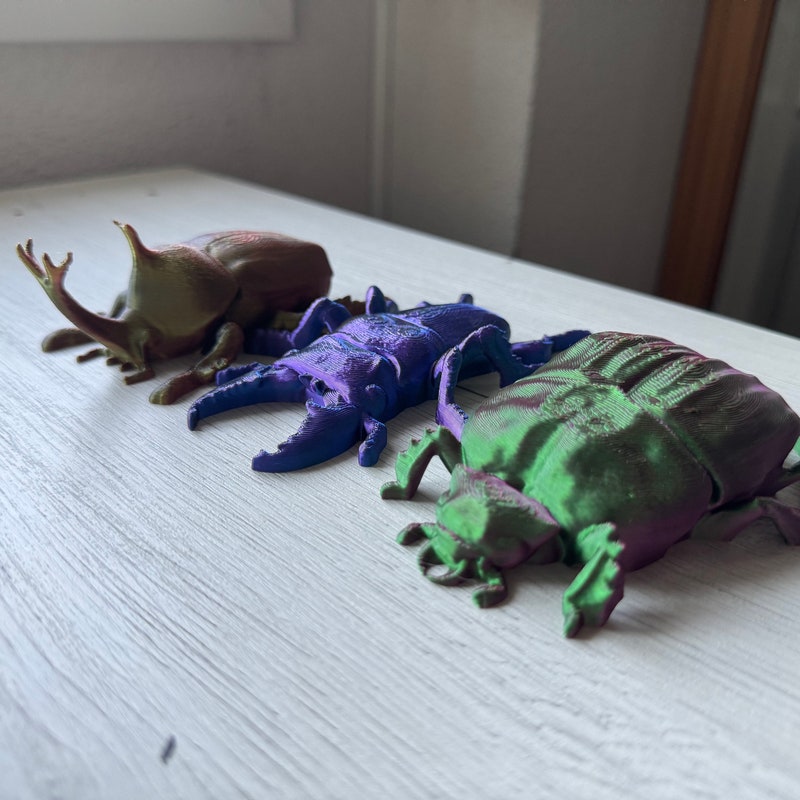 Beetle Collection - Etsy