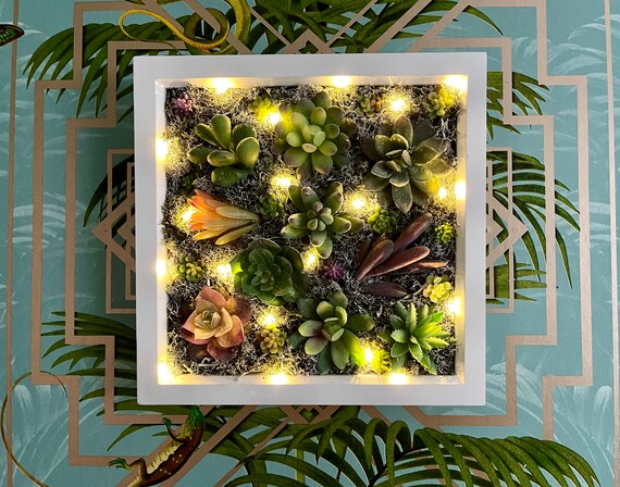 Succulent Wall Art Succulent Picture Frame Succulent Planter | Etsy