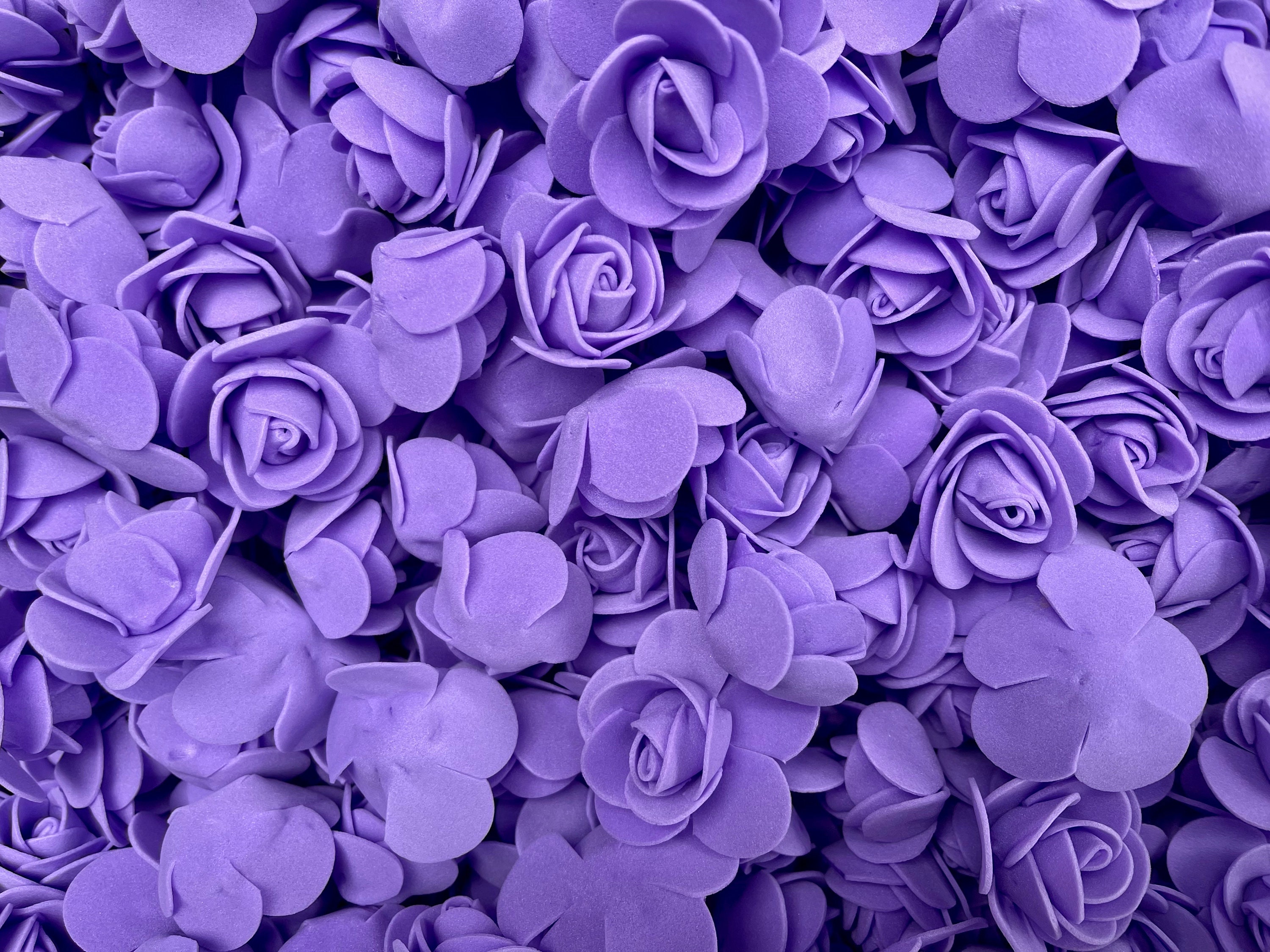 Lavender Rose Wallpaper