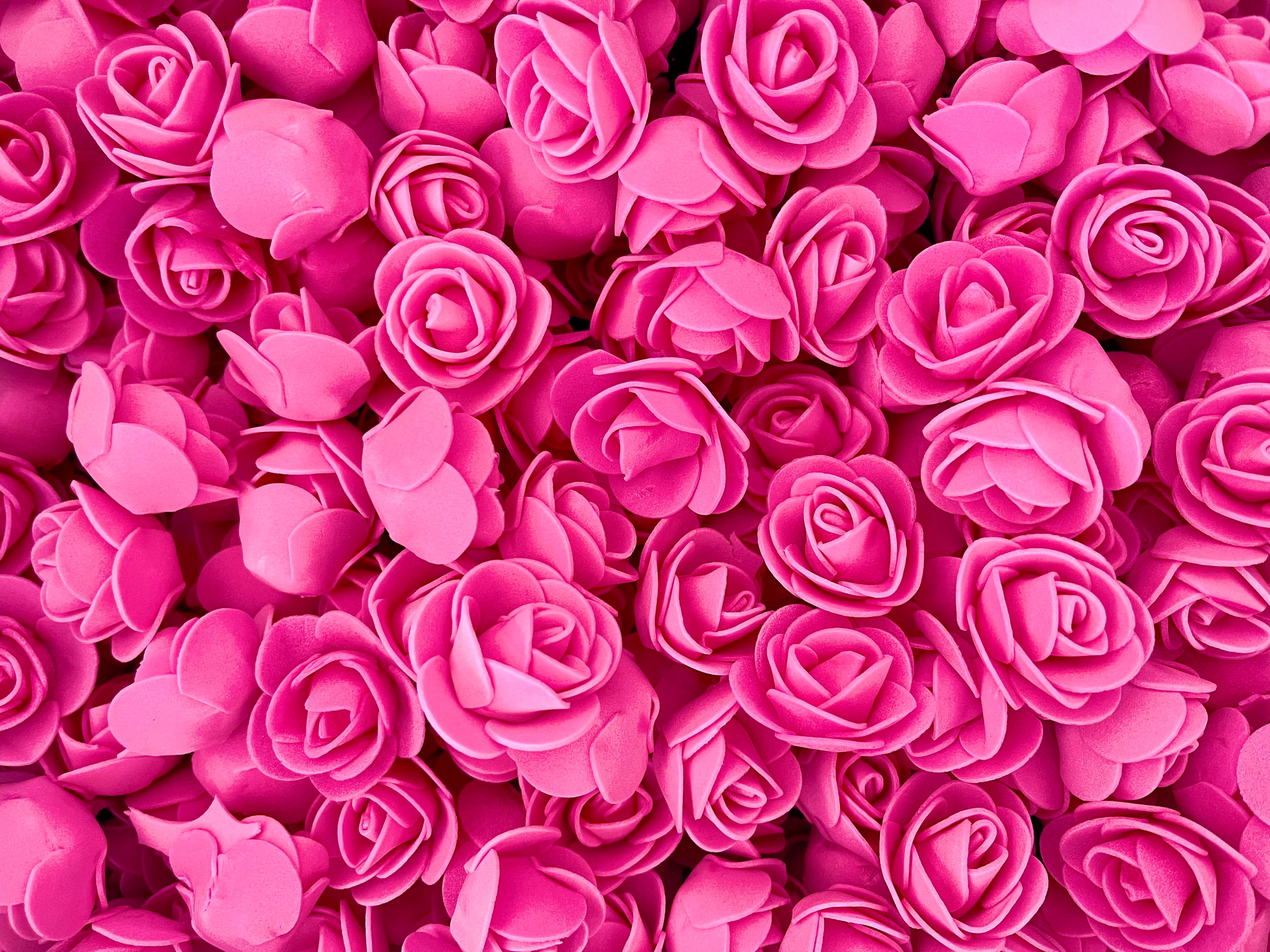 Dark Pink Flowers Backgrounds