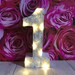 Freestanding Number 1, Decorated Large Number, Light up Number 1 ...