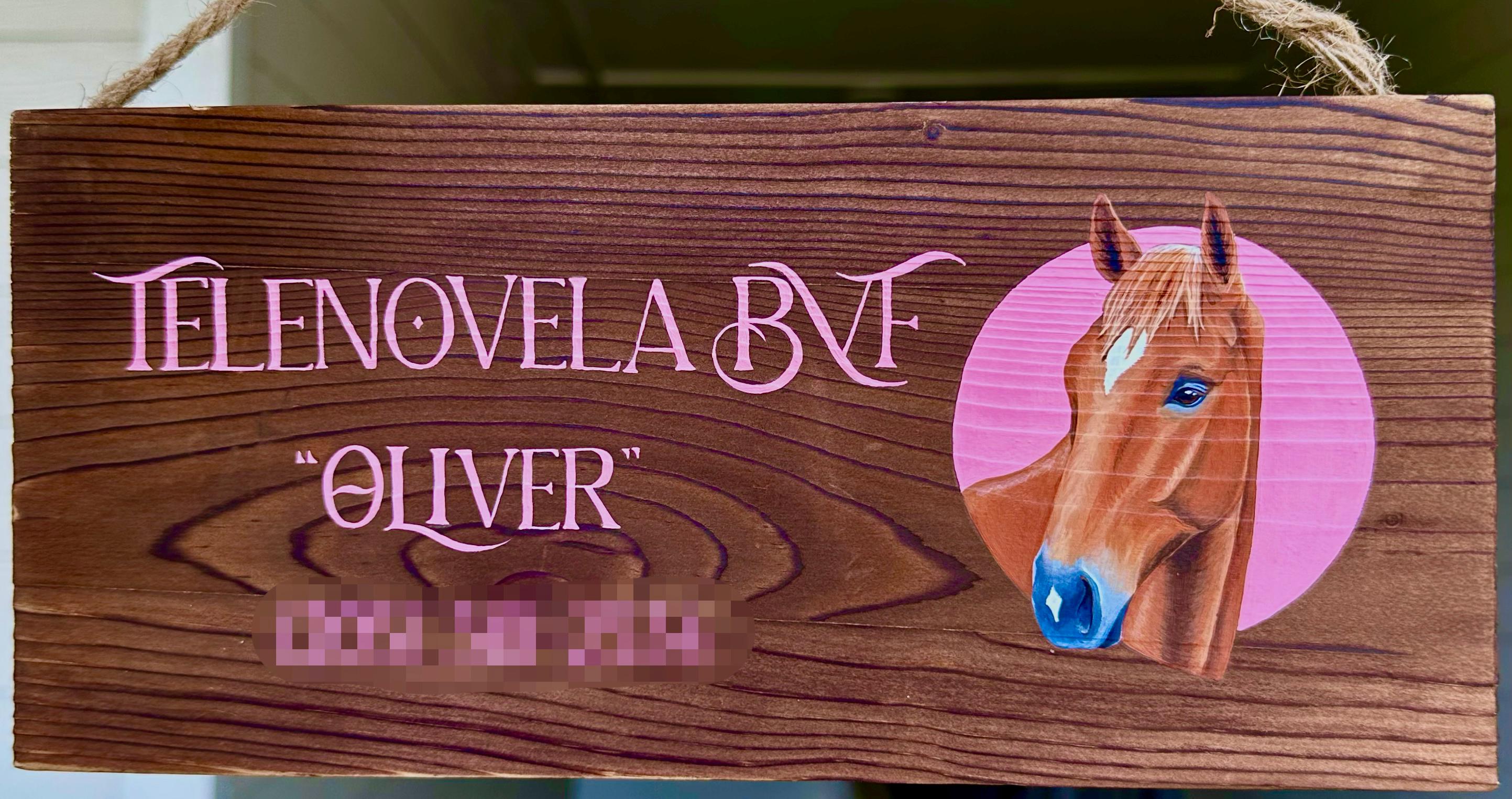 Custom Hand-painted Stall Sign - Etsy