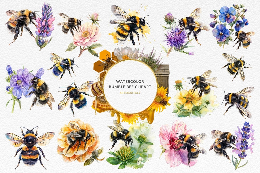 Watercolor Bumble Bee Clipart, Spring Floral Bee and Honey Drips Clip ...