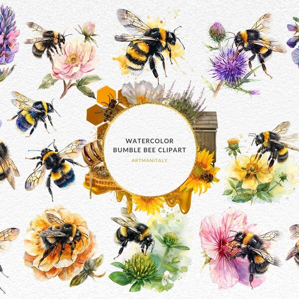 Bumble Bee Clipart - Etsy